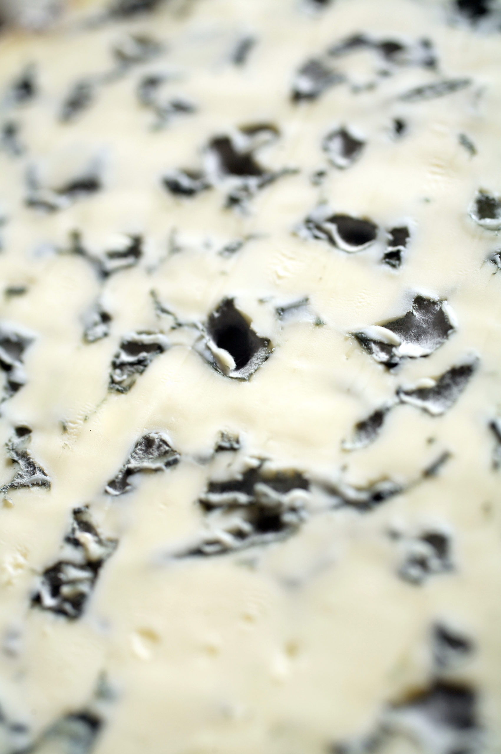 Savouring La Fourme d’Ambert - Fromage AOP Fourme d'Ambert